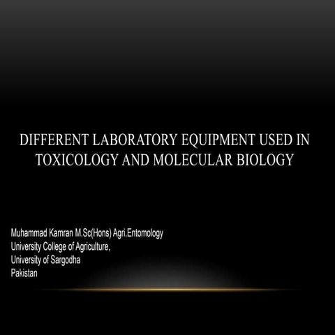 Different Laboratory Equipment used in Toxicology and Molecular Biology ...