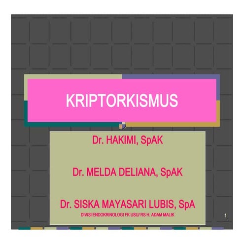 mk_end_slidexcftfvvgyggg_kriptorkismus.pdf