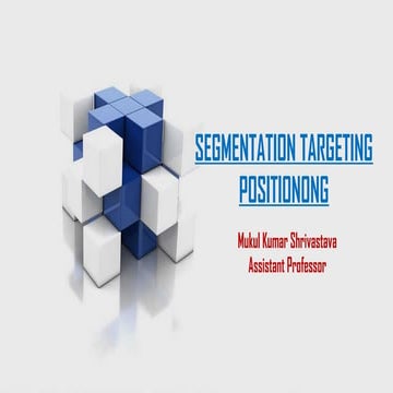 Mks Segmentation Targeting Positioning Pptx