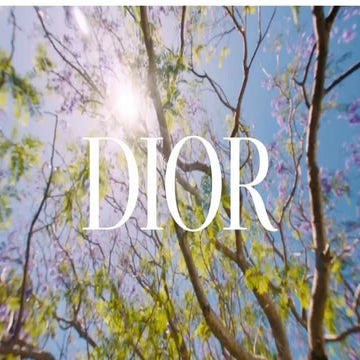 Intro to MKT presentation Dior Perfume.pptx