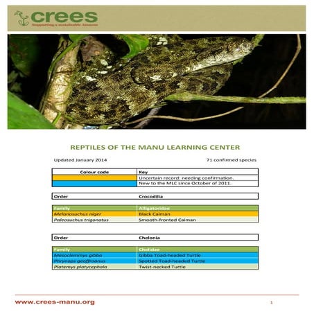 Manu Learning Centre - Reptile species list 2014 | PDF
