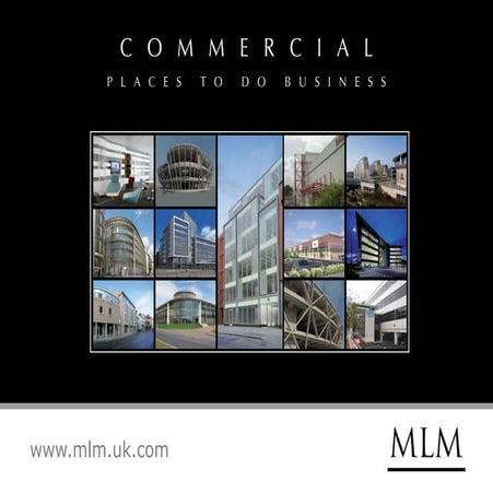 MLM Building Services Consulting Industry - Commercial Brochure | PPT