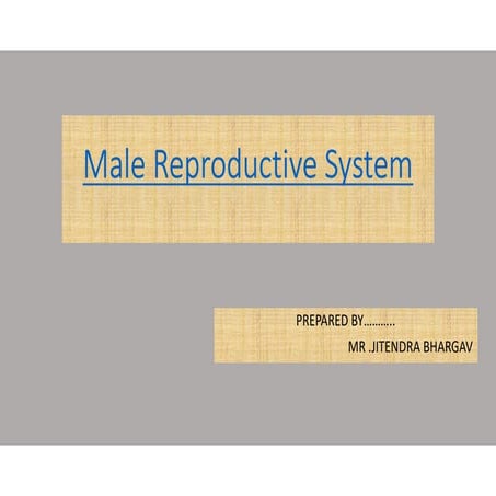 Male reproductive system SlideShare | PPT