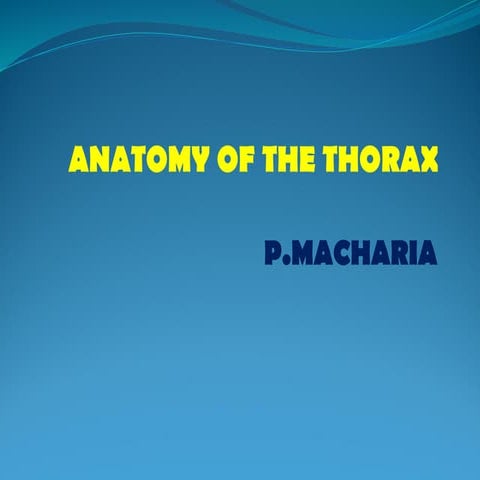 MLS ANATOMY OF THE THORAX.pptx edited by pantic miazga oguda | PPTX