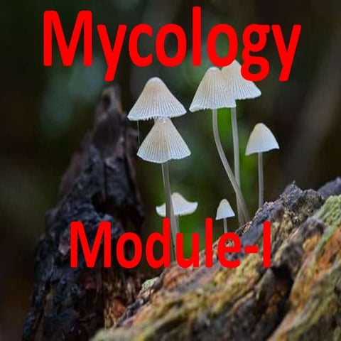 Basic Mycology | PPTX