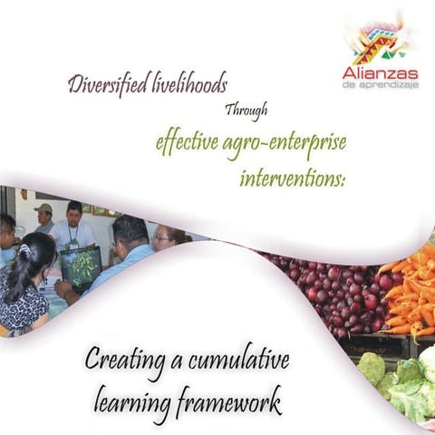 M.Lundy Learning Alliances In Central America | PPT