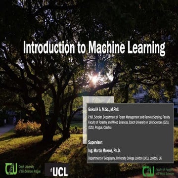 Machine learning workshop, CZU Prague 2024 | PPT