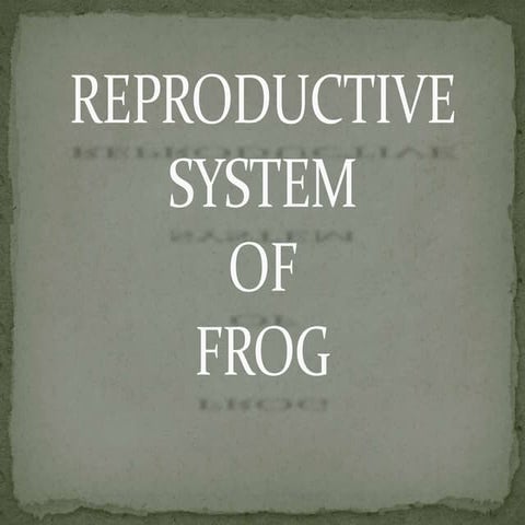 Reproductive system of frog | PPTX