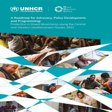 A Roadmap for Advocacy, Policy Development, and Programming | PDF