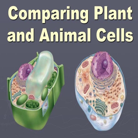 SCIENCE7: Plant and Animal Cells | PPTX