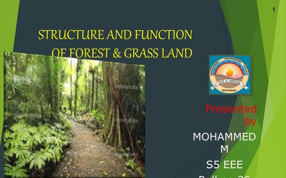 Grassland ecosystem | PPT