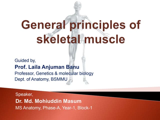 Comparative Anatomy of the Limb | PPTX