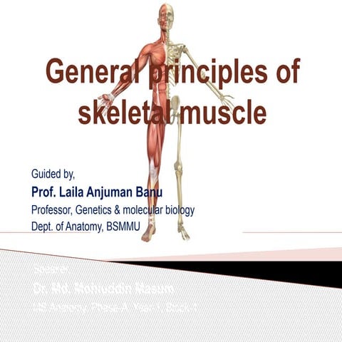 General principles of skeletal muscle | PPT