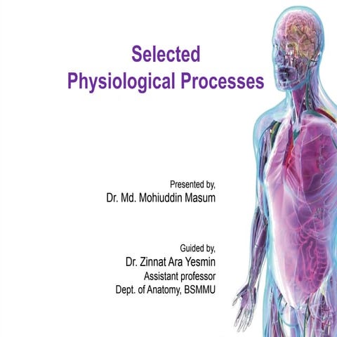 Selected Physiological Processes | PPTX