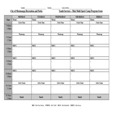 Mms Program Form 2009 | DOC