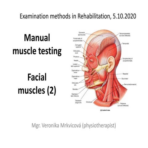 facial nerve examination | PPTX