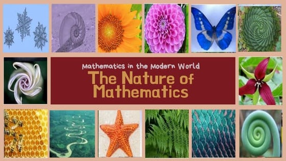 Mathematical patterns in nature | PPT