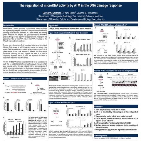 HHMI Poster Final | PDF