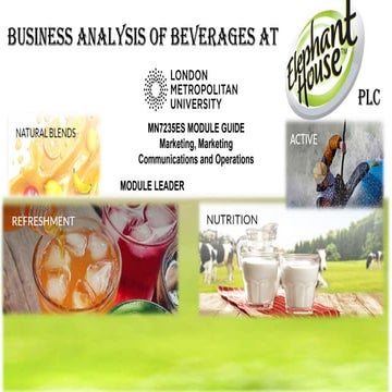 MN7235ES Sample Assignment 01.pdf