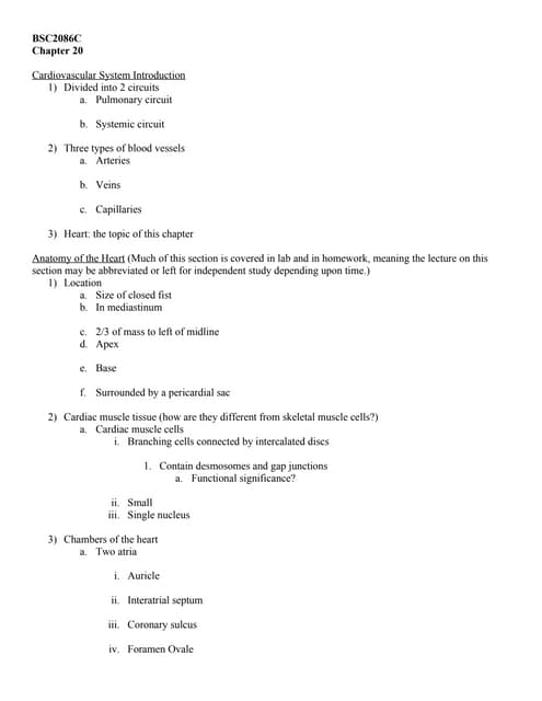 MCQ CVS Physiology | PDF