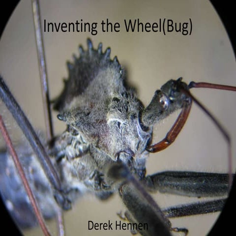 Inventing the Wheel(Bug) | PPTX