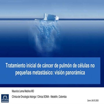 Tratamiento inicial de mNSCLC: visión panorámica | PPTX