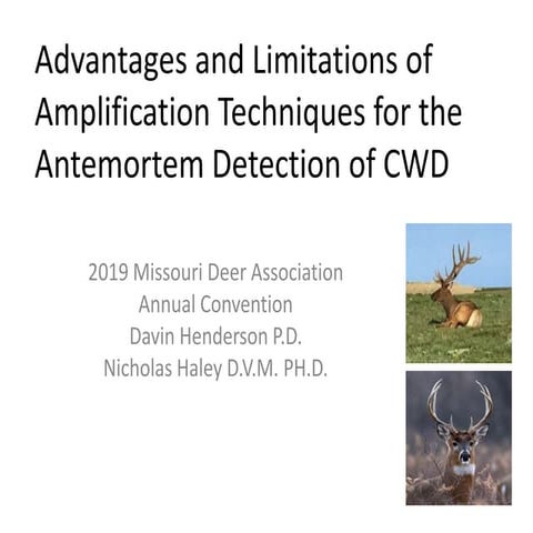 Advantages and Limitations of Amplification Techniques for the ...