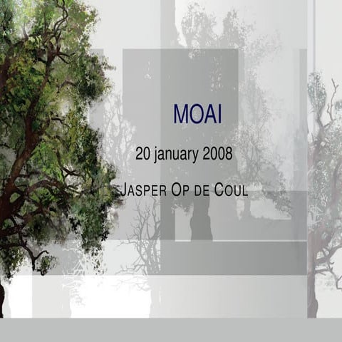 Moai Slides 20090120 | PDF
