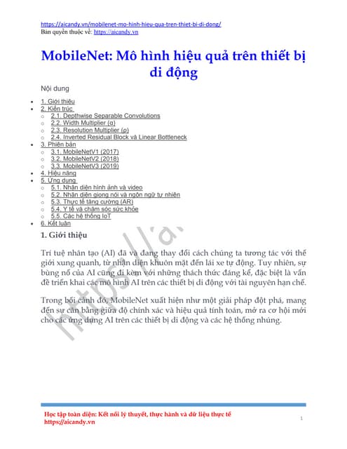 EfficientNet - Cách mạng hóa mạng neural hiện đại.pdf