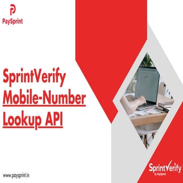 Mobile Number Lookup API by SprintVerify.pdf