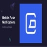 Mobile push notifications | PPT