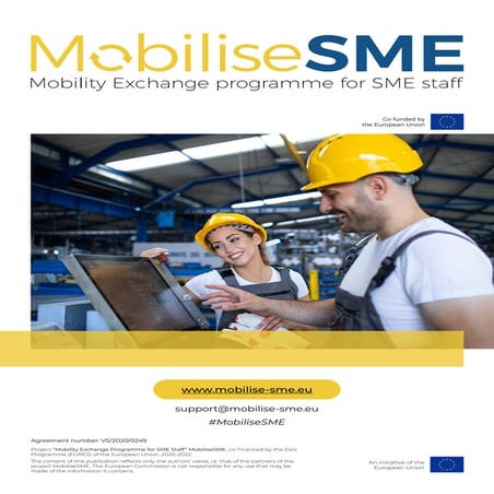 Mobilise sme guide-for-participants_ | PDF
