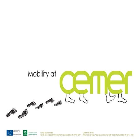 Mobility at cemer | PPT