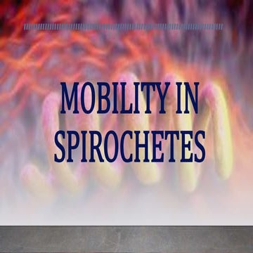 Mobility in different spirochetes bacteria .pptx