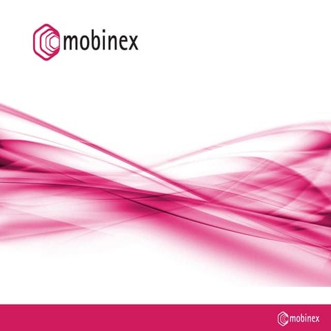 Mobinex Company Overview | PDF