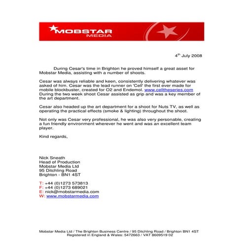 Mobstar Reference | PDF