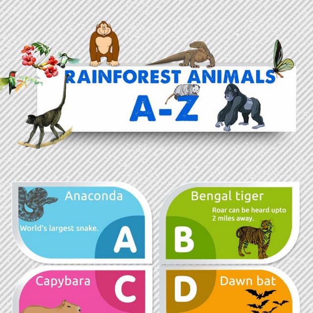 List of A-Z Rainforest Animals for Kids - Mocomi.com