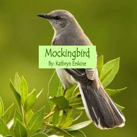 Mockingbird powerpoint | PPTX