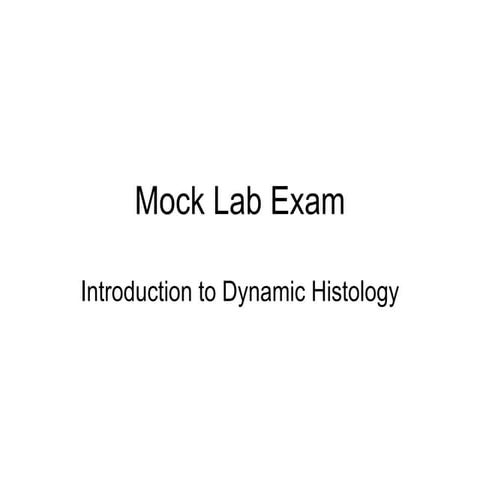 Mock Lab Exam 2008 | PPT