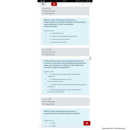 Mock mid module | PDF