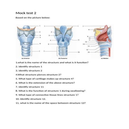 Neuroanatomy osteology (larynx) mock test | DOCX