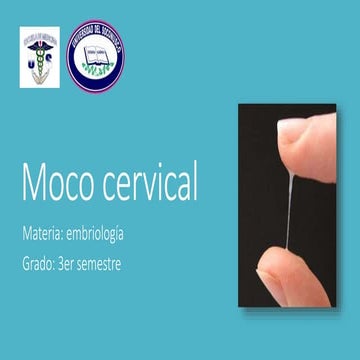 Moco cervical | PPTX