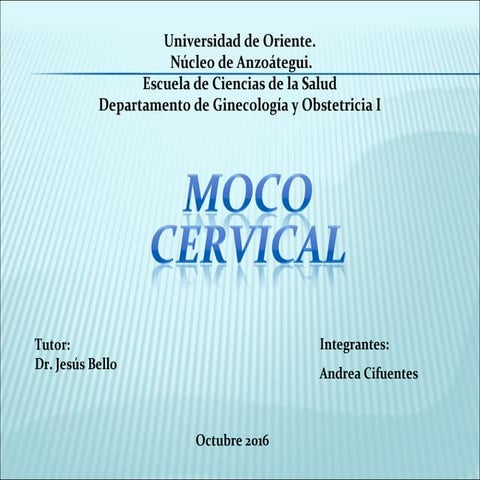 ¿Como es el moco cervical? | PPT