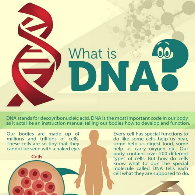 What is DNA – Mocomi Kids | PDF