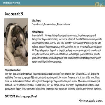 Mod 2 case 1 2022 | PPTX