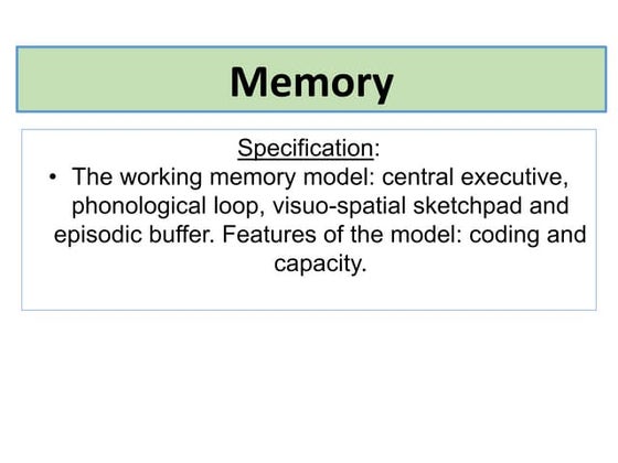 Working memory model | PPT
