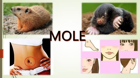 The Mole Concept.pptx