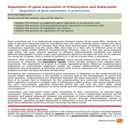regulation of gene expression - part 1 | PDF