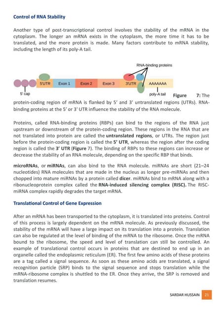 Regulation Of Gene Expression Part 1 Pdf