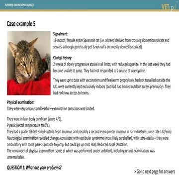 Mod 5 case 2022 | PPTX